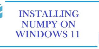 Windows 11 - NINJA IDE