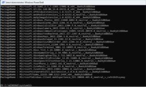 How To Debloat Windows 11 with Script (Windows 11 Debloater Tool)